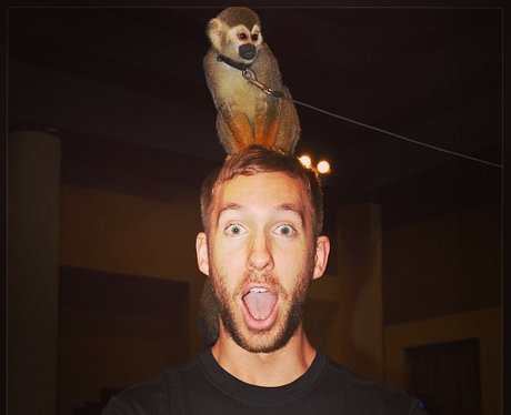 Calvin Harris With A Monkey On His Head - Top 50 Instagram Moments Of ...